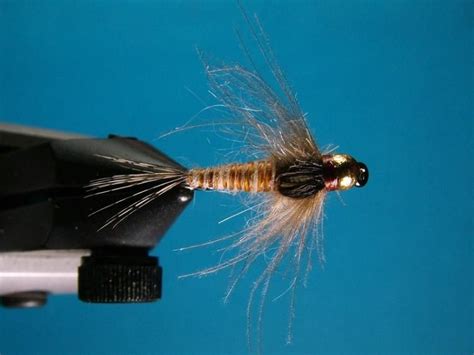 Mayfly Nymph Fly Fishing Nymph Fly Fishing Flies Pattern