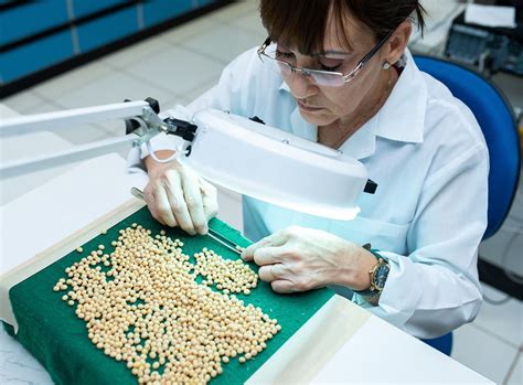 Controle De Qualidade Das Sementes De Soja Será Tema De Curso