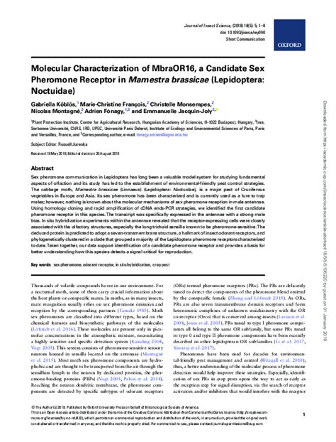 Pdf Molecular Characterization Of Mbraor16 A Candidate Sex Pheromone