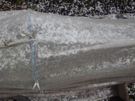 雪かあ 気持ちだけでも晴耕雨読で