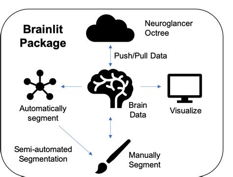 Brainlit — Brainlit 000 Documentation