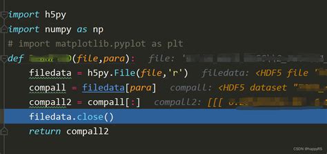 Python Hdf5读取问题（closed Dataset Csdn博客