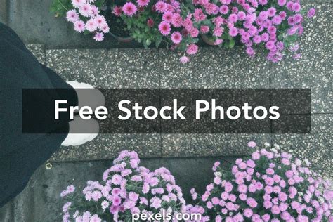 Tende Classiche Photos Download The Best Free Tende Classiche Stock