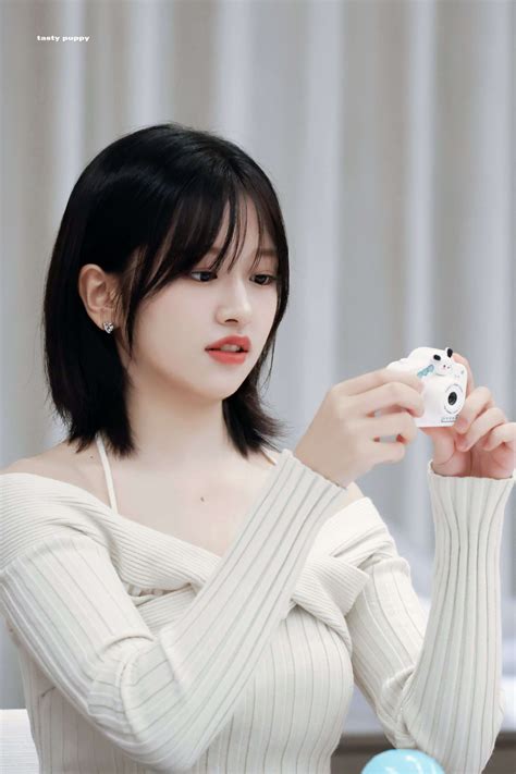 24 Ide Bunga Daisy Bunga Daisy Daisy Bunga