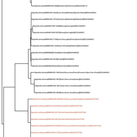 Charles Eiseman Msc Botany Field Naturalist Research Profile