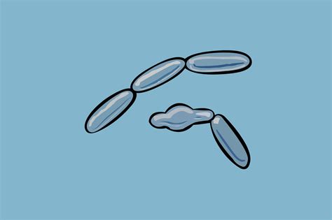 Recent Research With Anthrax Toxins List Labs