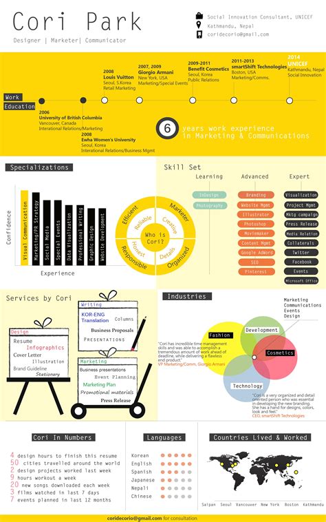 Infographic Resume Template Example
