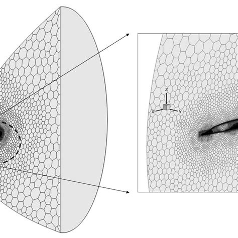 Typical Boundary Layer Prismatic Cells With Mesh On The Aircraft Wall
