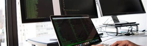 Tipos de software quais as suas diferenças e funcionalidades
