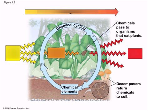 Bio 110 Chapter 1 Diagram Quizlet