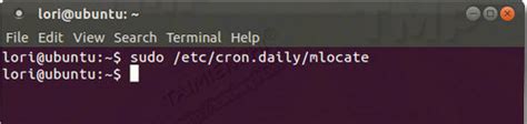 Cách Tìm File Và Thư Mục Trên Linux