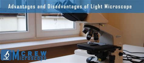 Disadvantages Of Light Microscope Microscope Crew