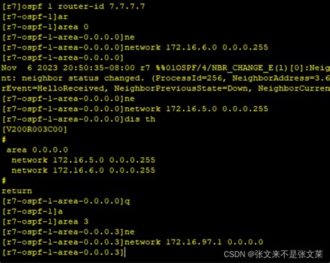 ospf综合实验 csdn博客