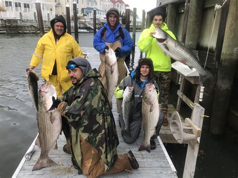 Today Was Epic Striped Bass Fishing Again Moover Fishing Adventures