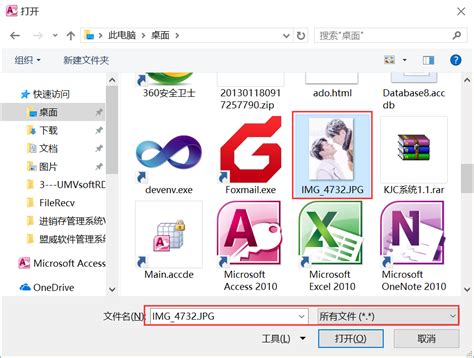 【access示例】使用对话框选择文件【access软件网】