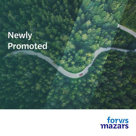 I Am Happy To Share That I Have Been Promoted To A Senior Consultant Transfer Pricing At Forvis