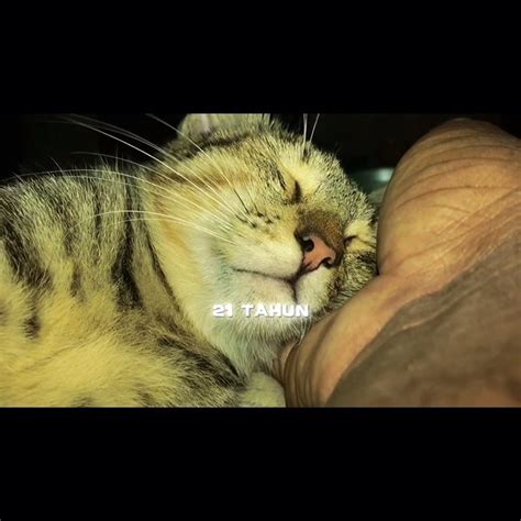 Sleepy Mode Activated YouTube