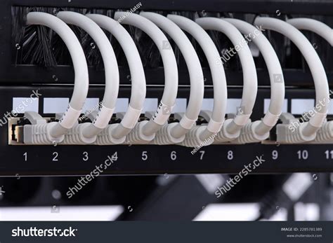 Ethernet Cable Rj Connector Connected Socket Stock Photo Shutterstock