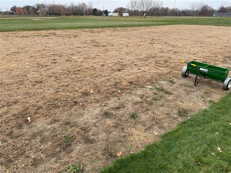 Dormant Seeding Tall Fescue As A Strategy To Improve Crabgrass Infested