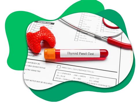 Thyroid Function Testing A Guide For Better Understanding