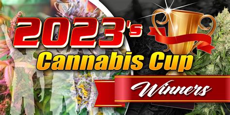 2023s Cannabis Cup Winners Vancouver Seed Bank