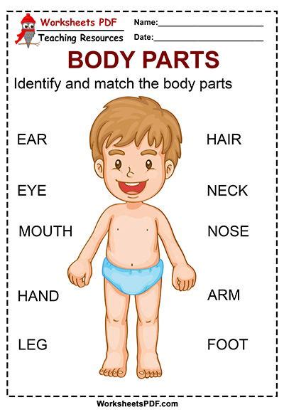My Body ร่างกายของฉัน ภาพน่ารักๆ 👀👂👃👅 ทีชเชอร์ มา แชร์ Facebook