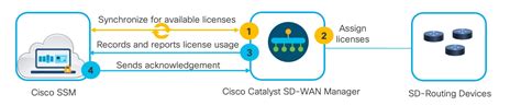 Cisco Ios Xe 17 Managing Licenses For Sd Routing Devices Cisco