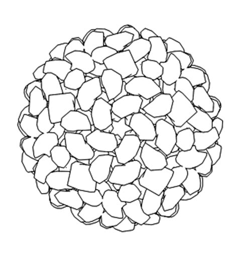 PDB 101 Learn Coloring Books Discovering Biology Through Crystallography