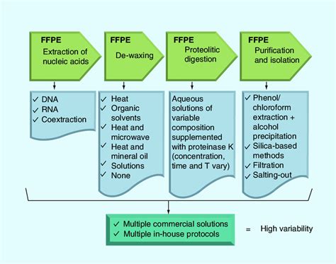 Possible Procedures Used To Extract Nucleic Acids From Formalin Fixed Download Scientific
