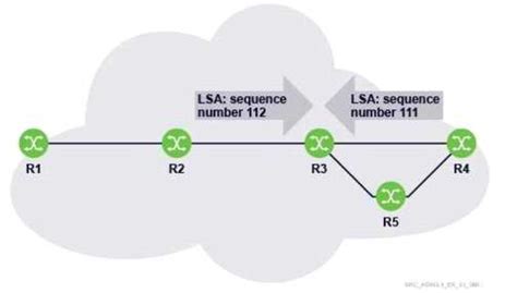 Module 5 IP Routing Protocol Basics Part 4 Flashcards Quizlet
