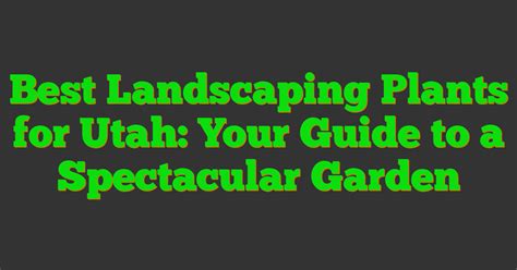 Best Grass Types For Lawns In Wisconsin A Guide To Choosing The Right