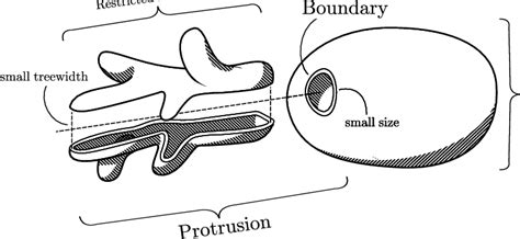 The Anatomy Of A Protrusion Download Scientific Diagram