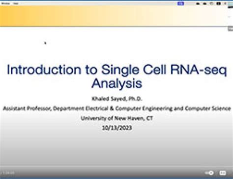 Tutorial Visualization Of Rna Seq Results With Volcano Plot Rna Seq
