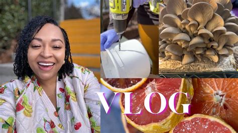 Farming Vlog Learning To Grow Mushrooms Youtube