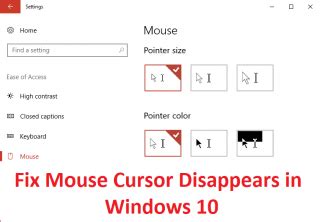 Ways To Fix Mouse Cursor Disappears Guide Techcult