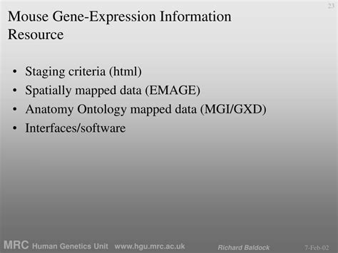 Ppt Mouse Gene Expression Resource Spatial Data On Mouse Embryo