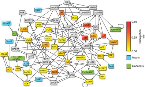 T Cell Survival Signalling Network Governing The Development Of T Lgl Download Scientific