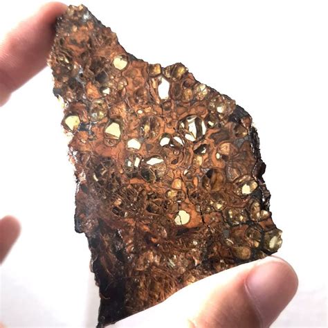 Jepara Meteorite Translucent Pallasite Gem Quality 16 9 Catawiki