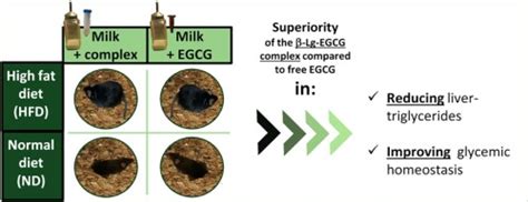β 乳球蛋白递送系统可增强hfd肥胖小鼠模型的egcg生物学功效journal Of Functional Foods X Mol