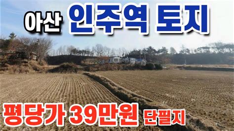 아산 인주역 토지 충남 아산시 인주면 도흥리 땅 단필지 평당가 39만원 Youtube