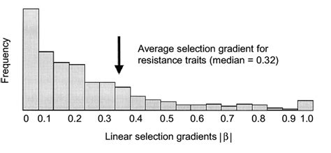 1 Frequency Distribution Of The Absolute Values Of The Linear