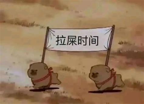 表情包丨五花八门的小众表情包推荐