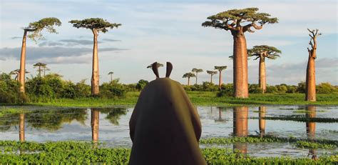 Riding Gloria The Hippo In The Background 6 By Maxamizerblake On Deviantart