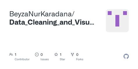Github Beyzanurkaradana Data Cleaning And Visualization With Excel