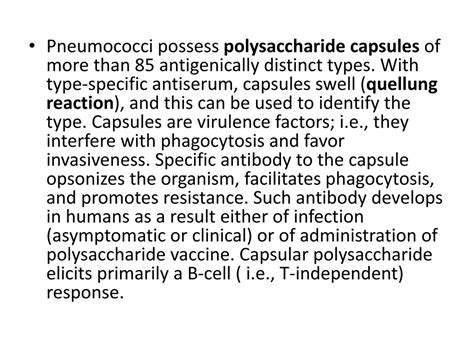 Ppt Streptococci Characteristics Classification And Pathogenesis Powerpoint Presentation