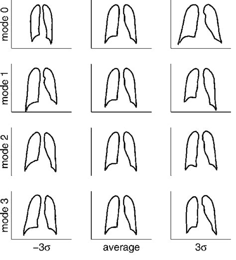 Modes Of The Statistical Shape Model Each Of The Four Rows Shows The