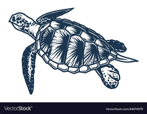 Sea Turtle Detailed Monochrome Label Royalty Free Vector