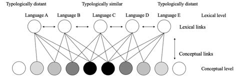 Schematic Representation Of Multilingual Partial Non Equivalence
