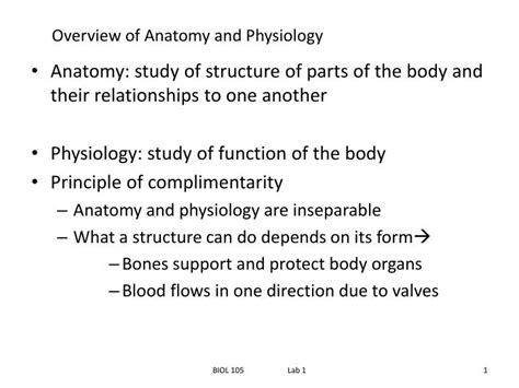 Ppt Overview Of Anatomy And Physiology Powerpoint Presentation Free