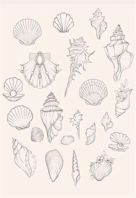 Discover 67 Sea Shells Sketches And Sea Shells Ideas Shells Sketches
